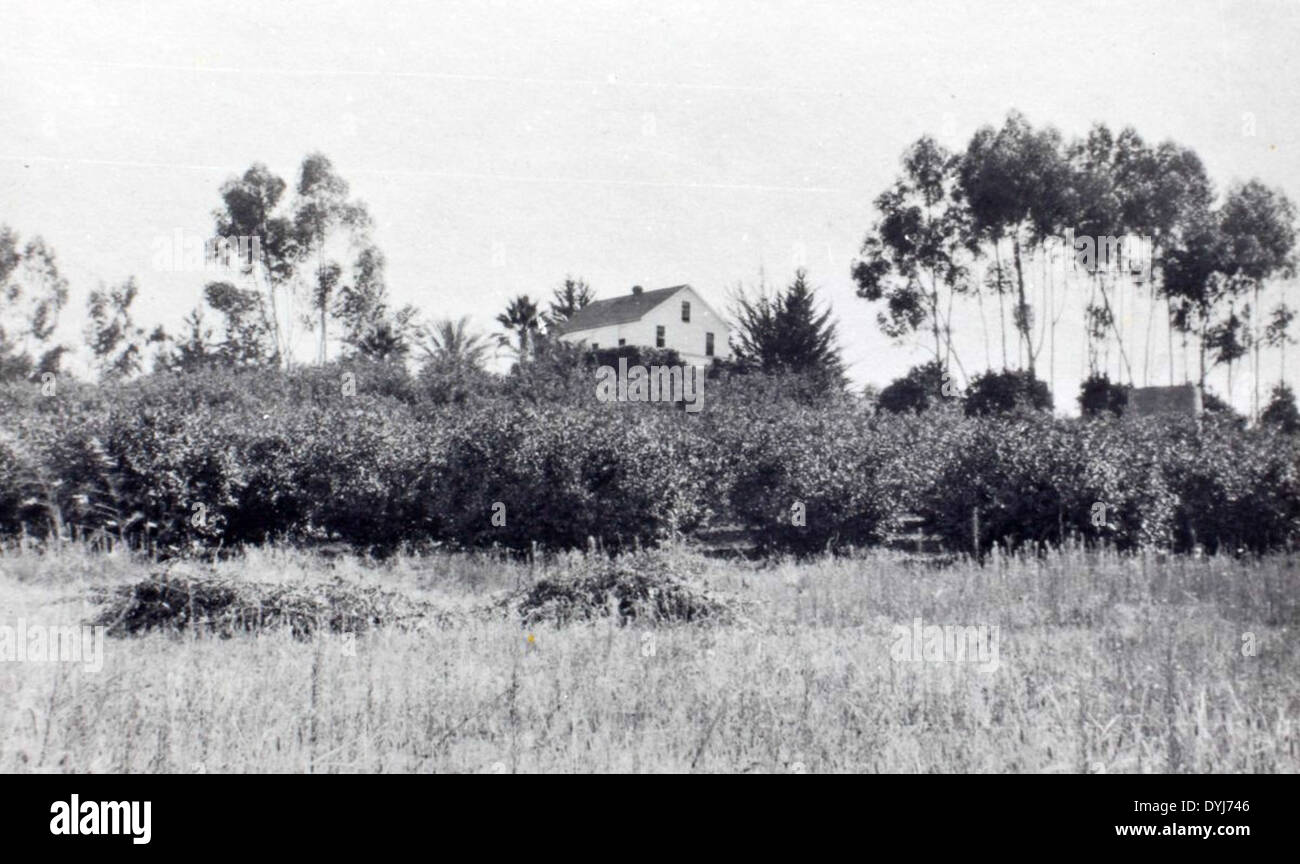 This image from the Donald Gordon Collection showcases historical ...