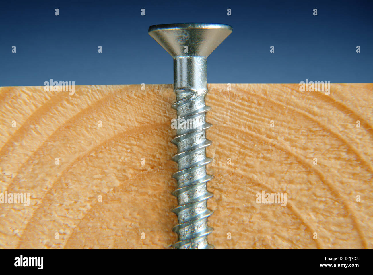 Cross section of wood showing single thread screw Stock Photo - Alamy