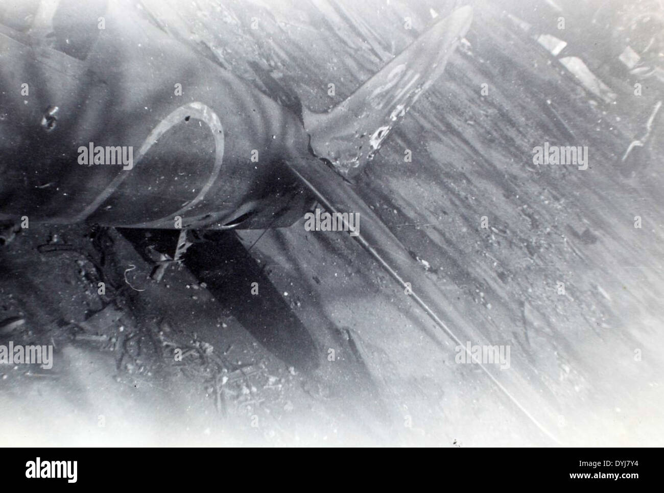 VPB-102, a U.S. Navy Patrol Bombing Squadron, is seen with its ...