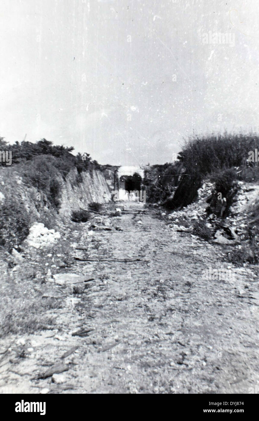 The VPB-102 was a U.S. Navy patrol squadron that flew the Consolidated ...