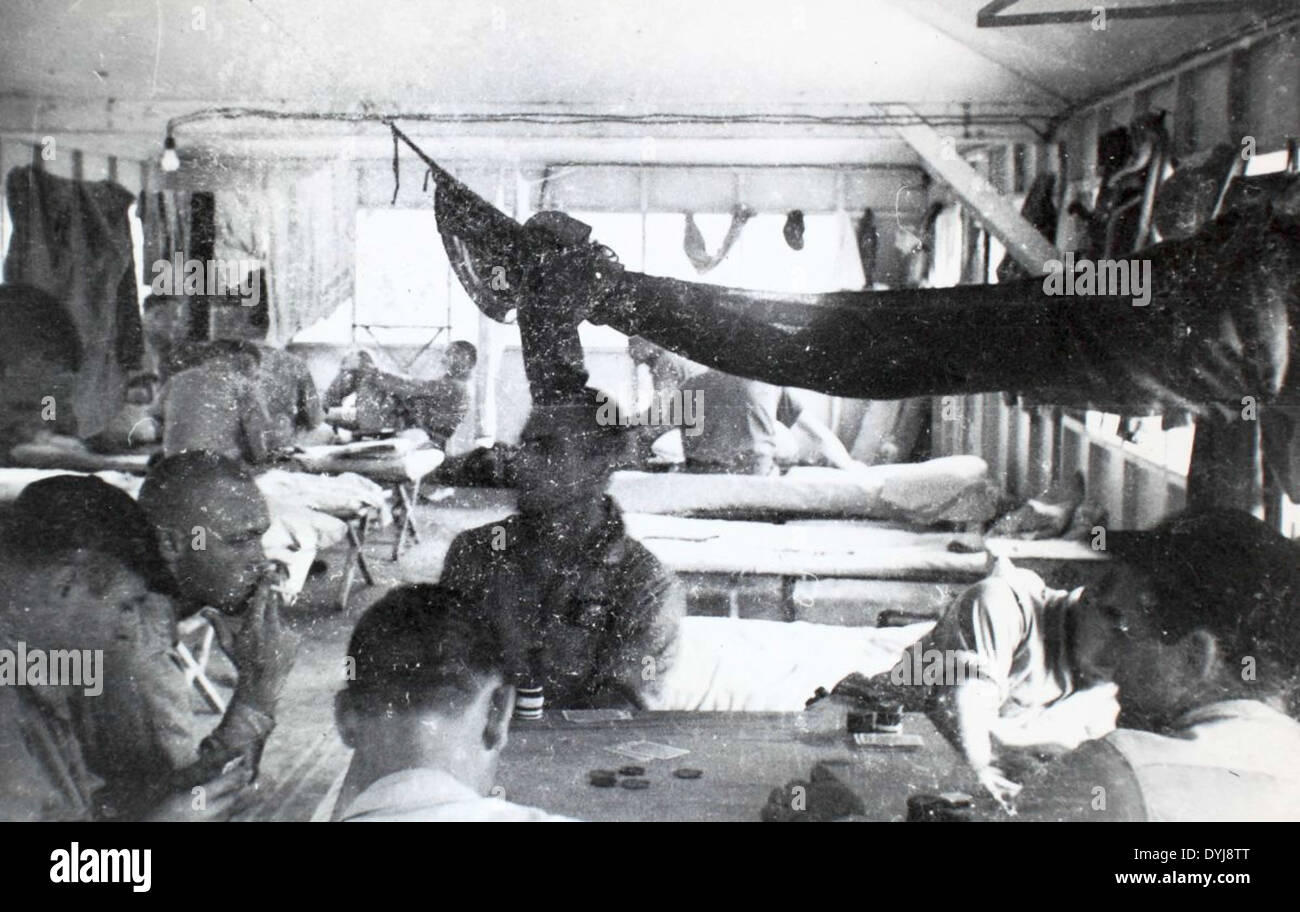The Consolidated PB4Y-1 Liberator, used by VB-102 and VPB-102, was an ...