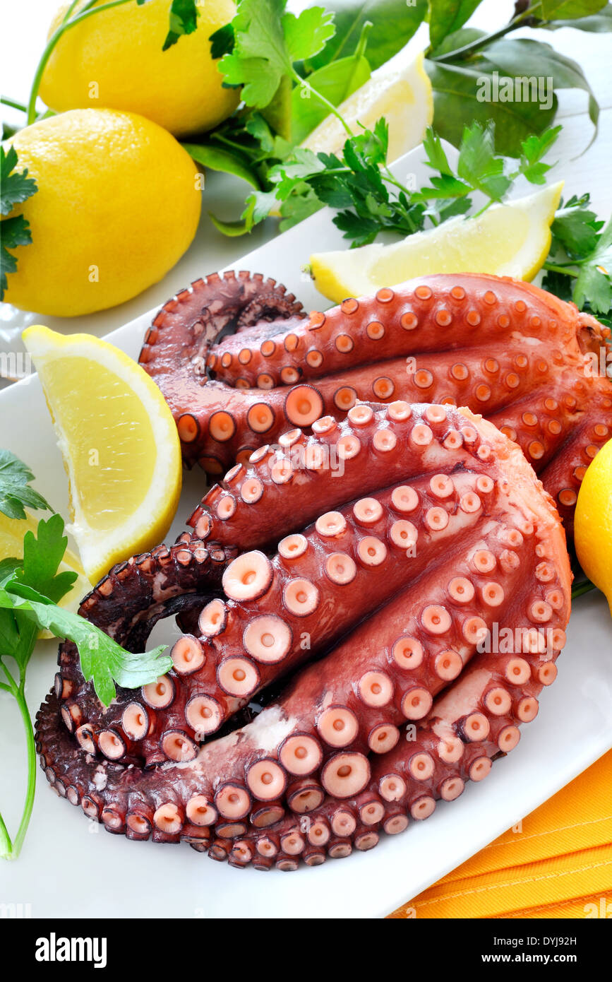 boiled octopus soup with broth seasoned with chili pepper and served to ...