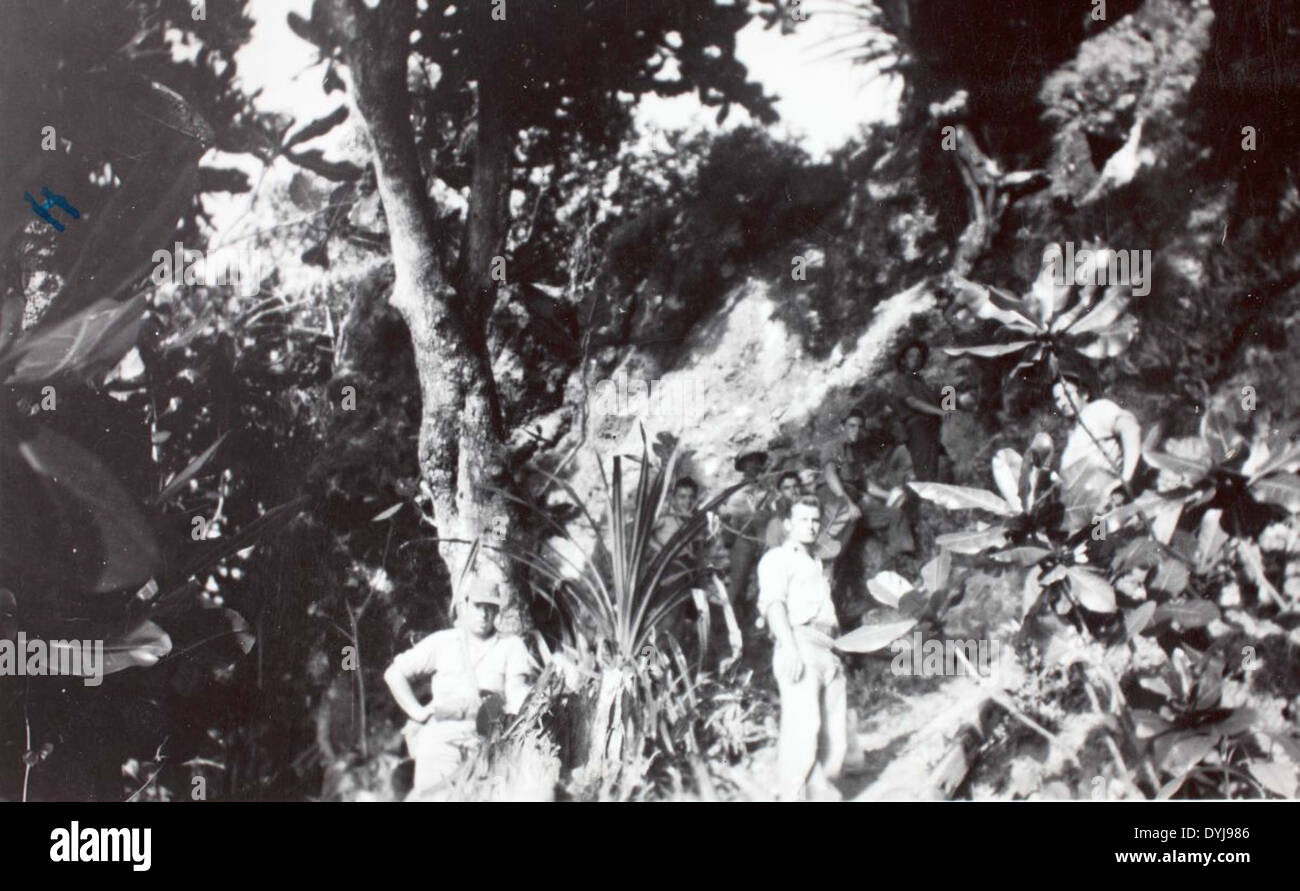 The VP-106 collection includes images of the U.S. Navy’s PB4Y-2 ...