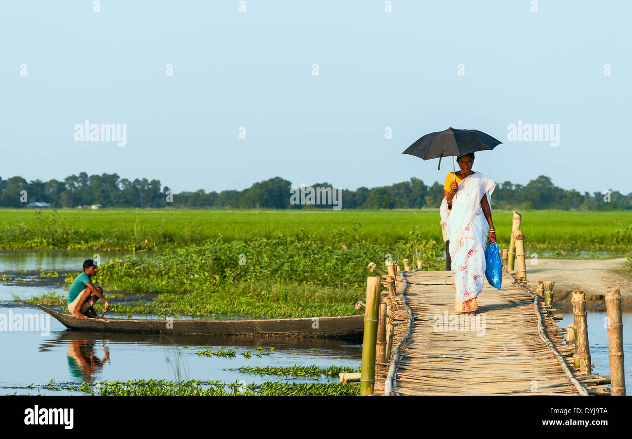 Majuli island hi-res stock photography and images - Alamy