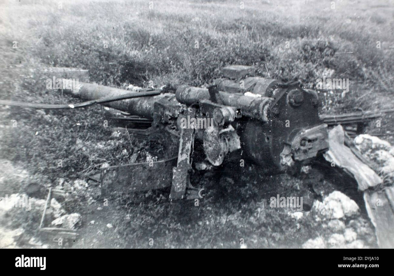 VPB-102, a U.S. Navy patrol bombing squadron, flew Consolidated PB4Y ...