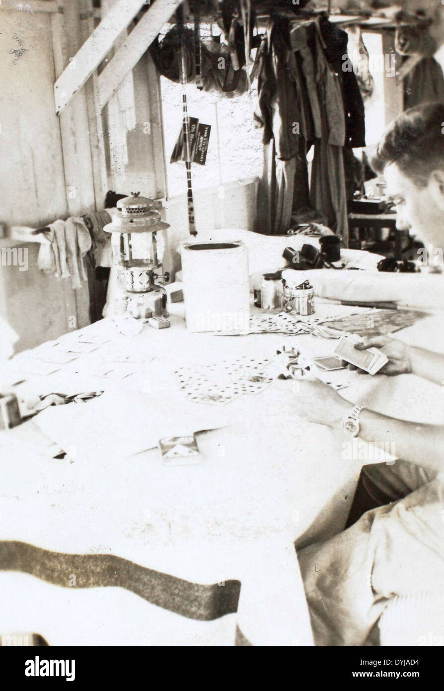 The VB-102 (VPB-102) squadron operated the Consolidated PB4Y during ...