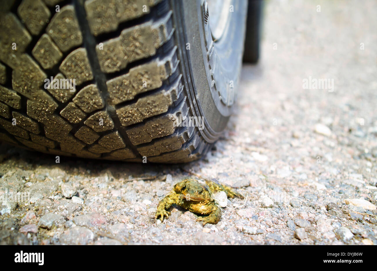 Dead body death the end transportation hi-res stock photography and ...