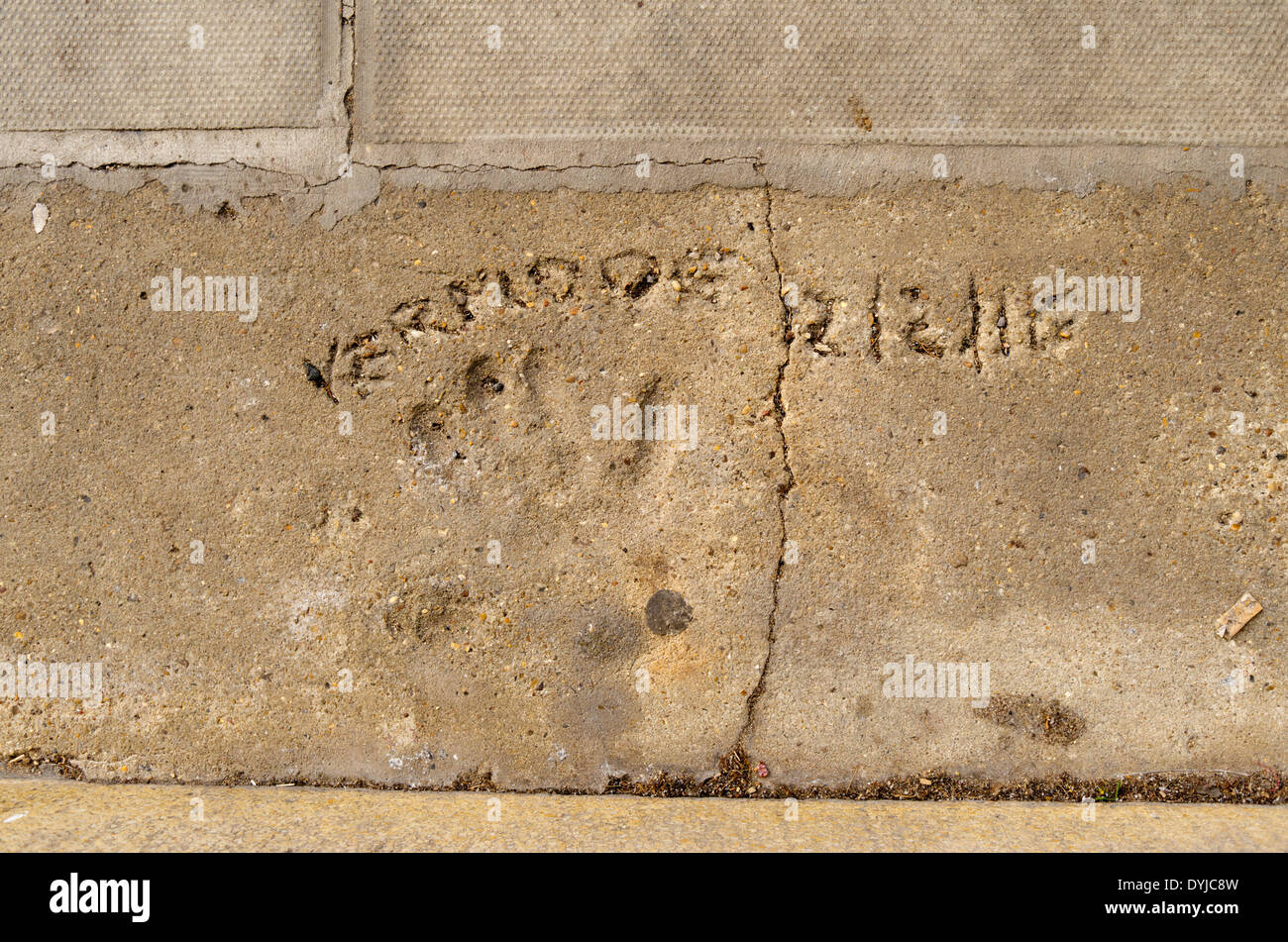 Kermode handprint cement phoenix hi-res stock photography and images ...