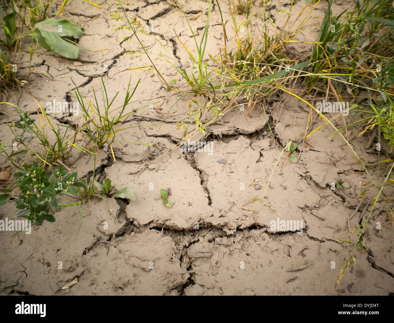 Crack earth hi-res stock photography and images - Alamy