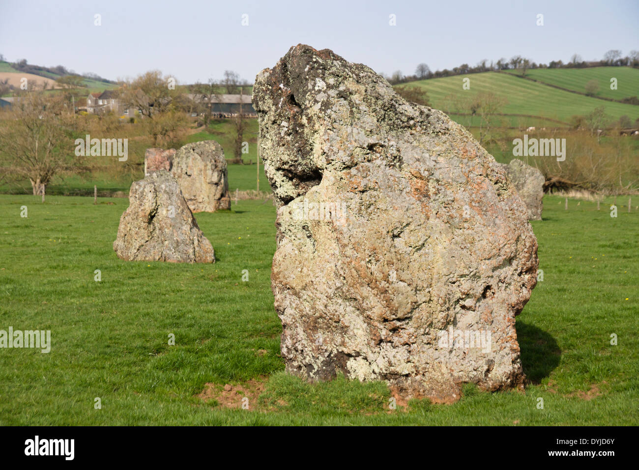 Stanton Drew stone circle in Somerset england UK Stock Photo - Alamy