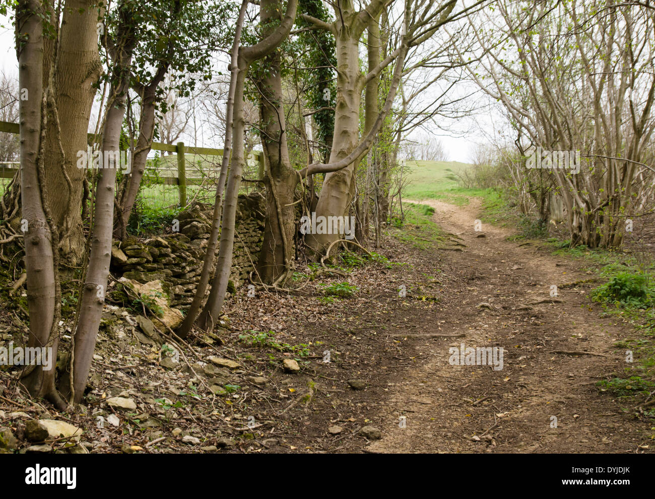 Sheepscombe english village hi-res stock photography and images - Alamy