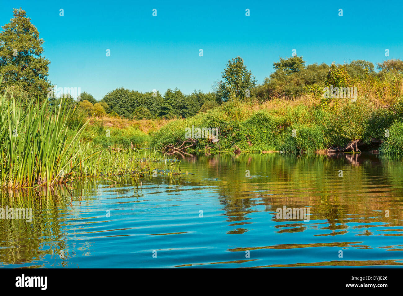 Wkra river hi-res stock photography and images - Alamy