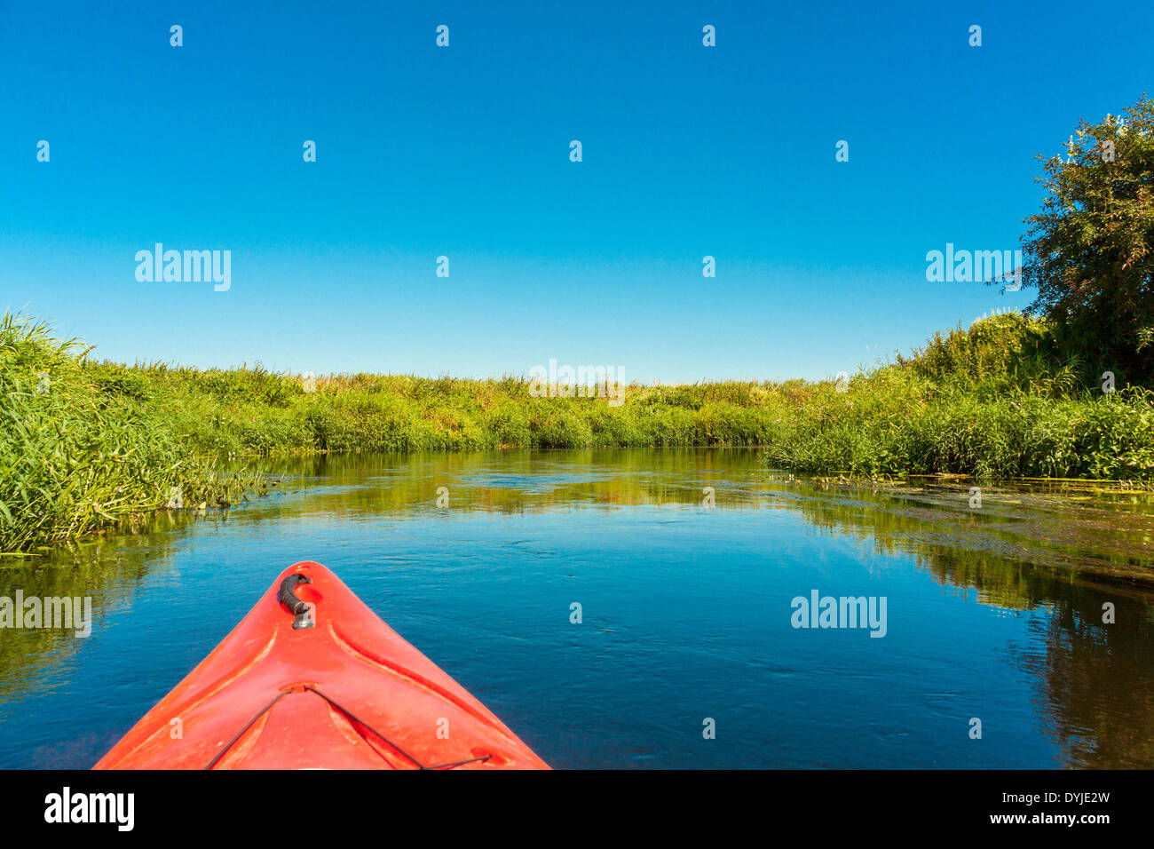Kayaking Wkra river, Poland Stock Photo - Alamy
