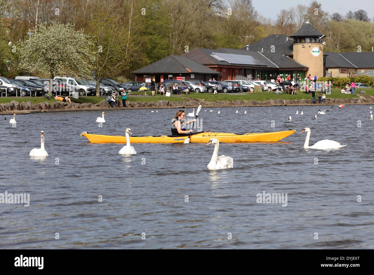 Castle Semple Visitor Centre, Lochwinnoch, Renfrewshire, Scotland, UK ...