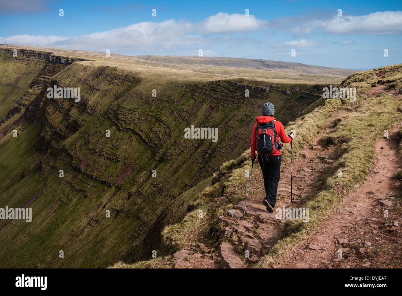 Female hill walker hiking towards Waun Lefrith along Carmarthen Fans ...