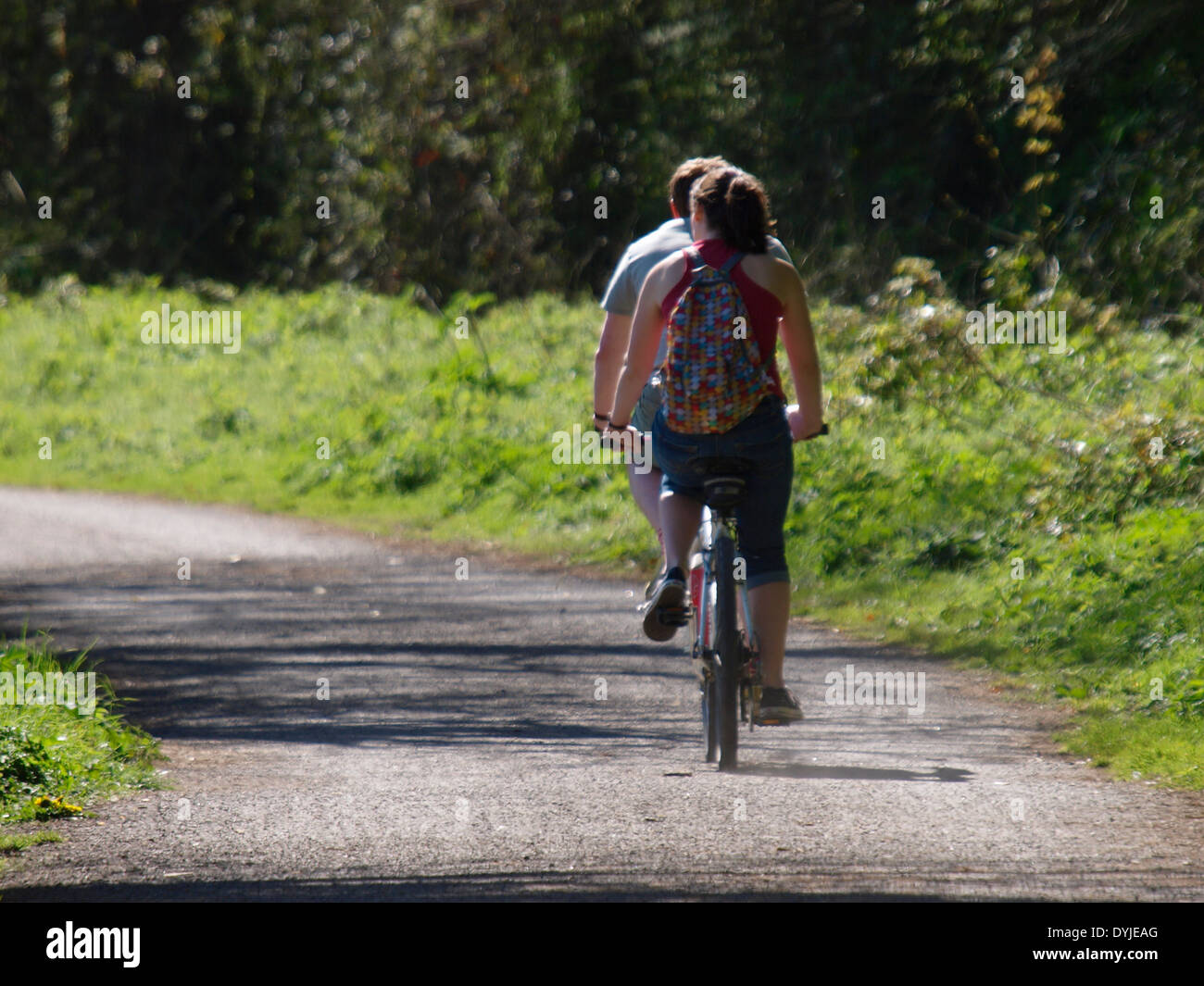 Couple on a tandem bicycle, riding on the Camel trail between ...