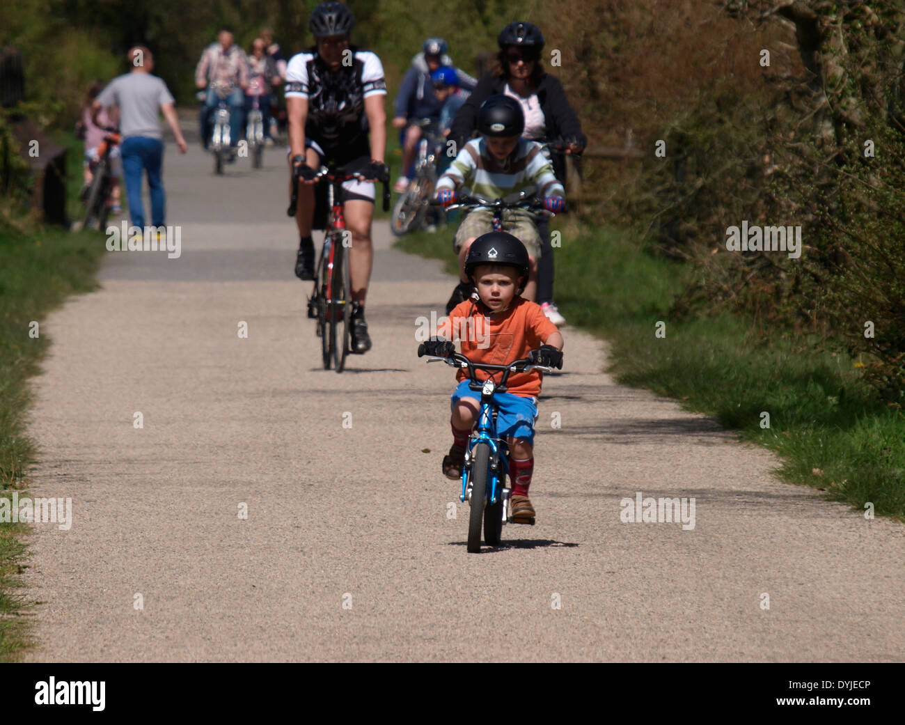Little boy riding his bicycle along the Camel trail between Wadebridge ...
