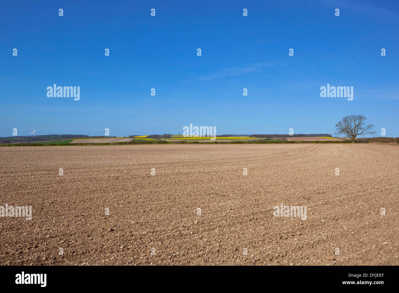 Patterns and textures of cultivated chalk arable land on the Yorkshire ...