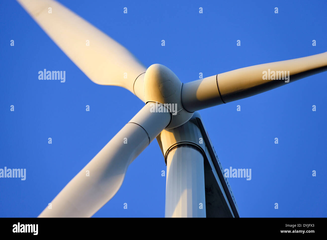 Hamburg farm hi-res stock photography and images - Alamy