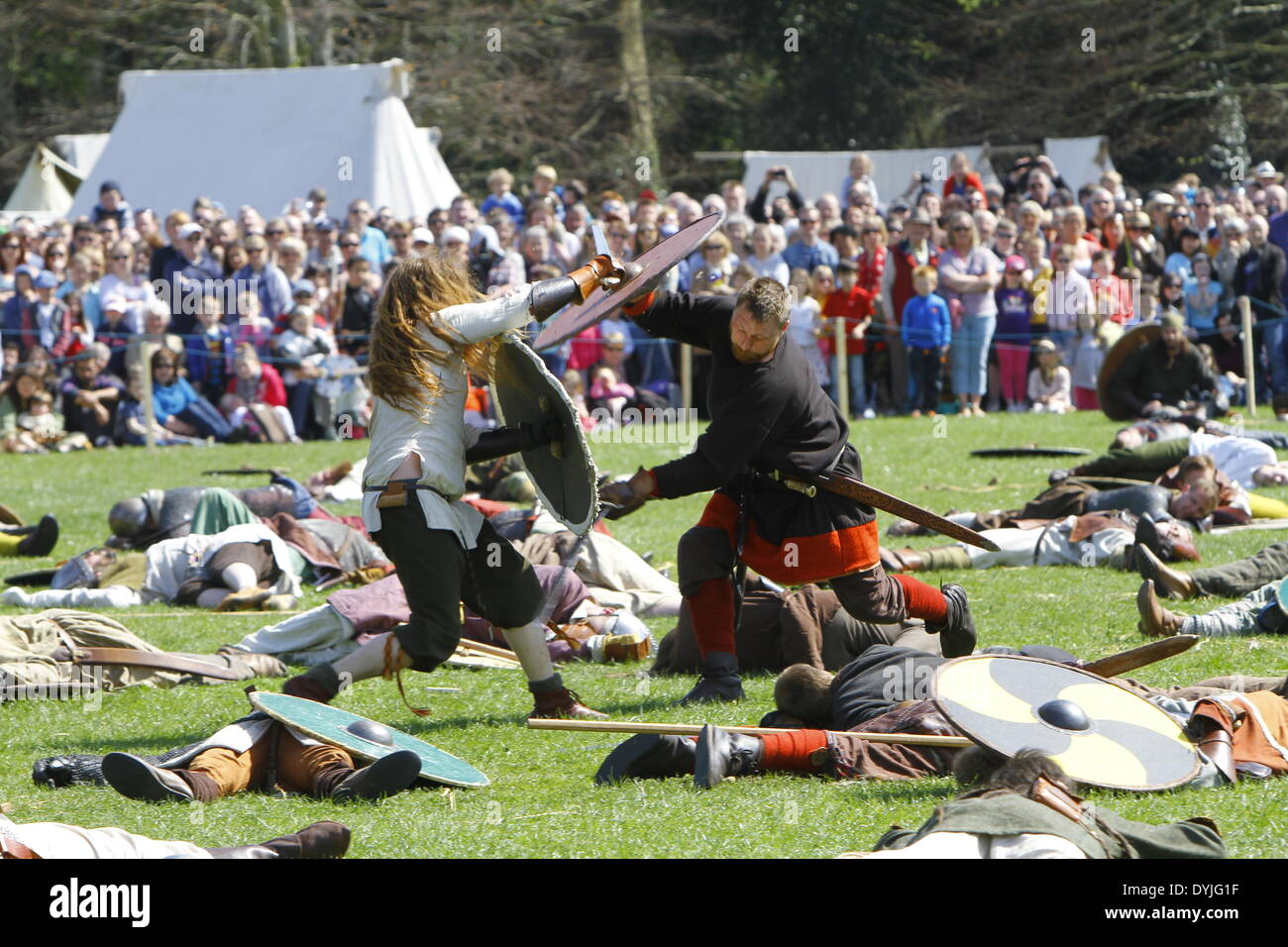 Viking battle ireland hi-res stock photography and images - Alamy