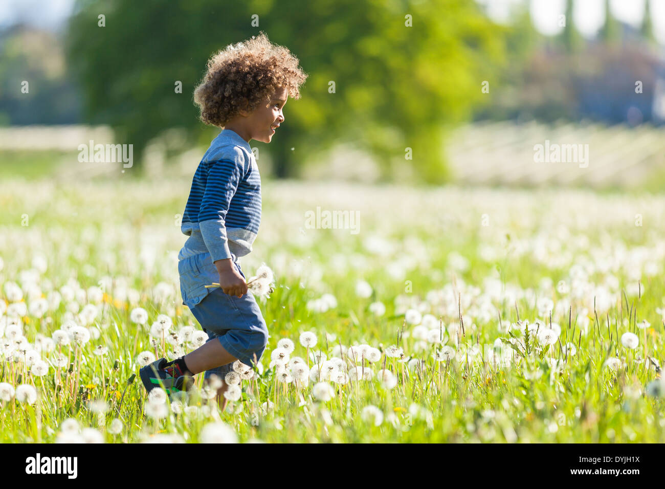 Cute african american little boy playing outdoor - Black people Stock ...