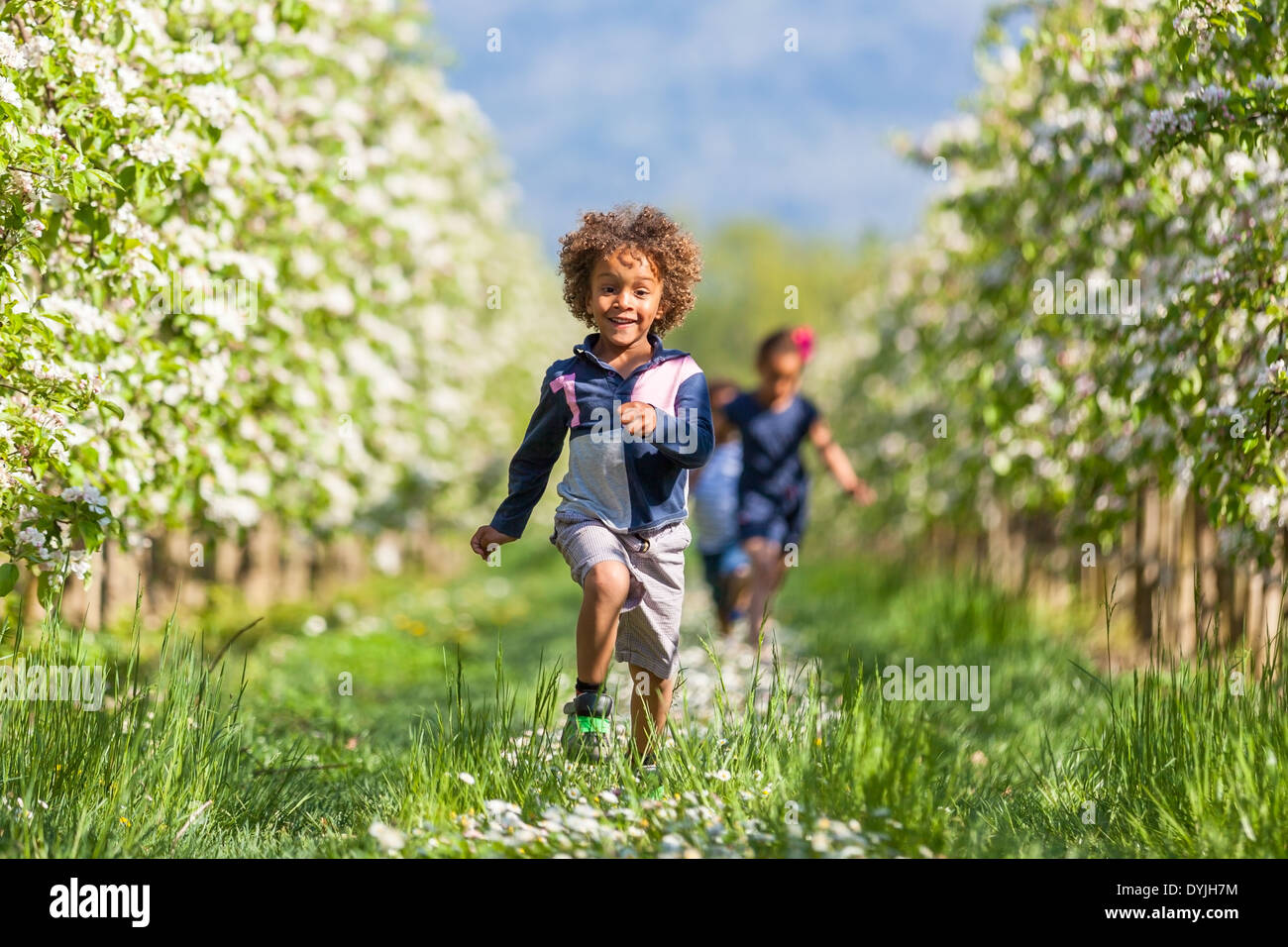 Cute african american little boy playing outdoor - Black people Stock ...