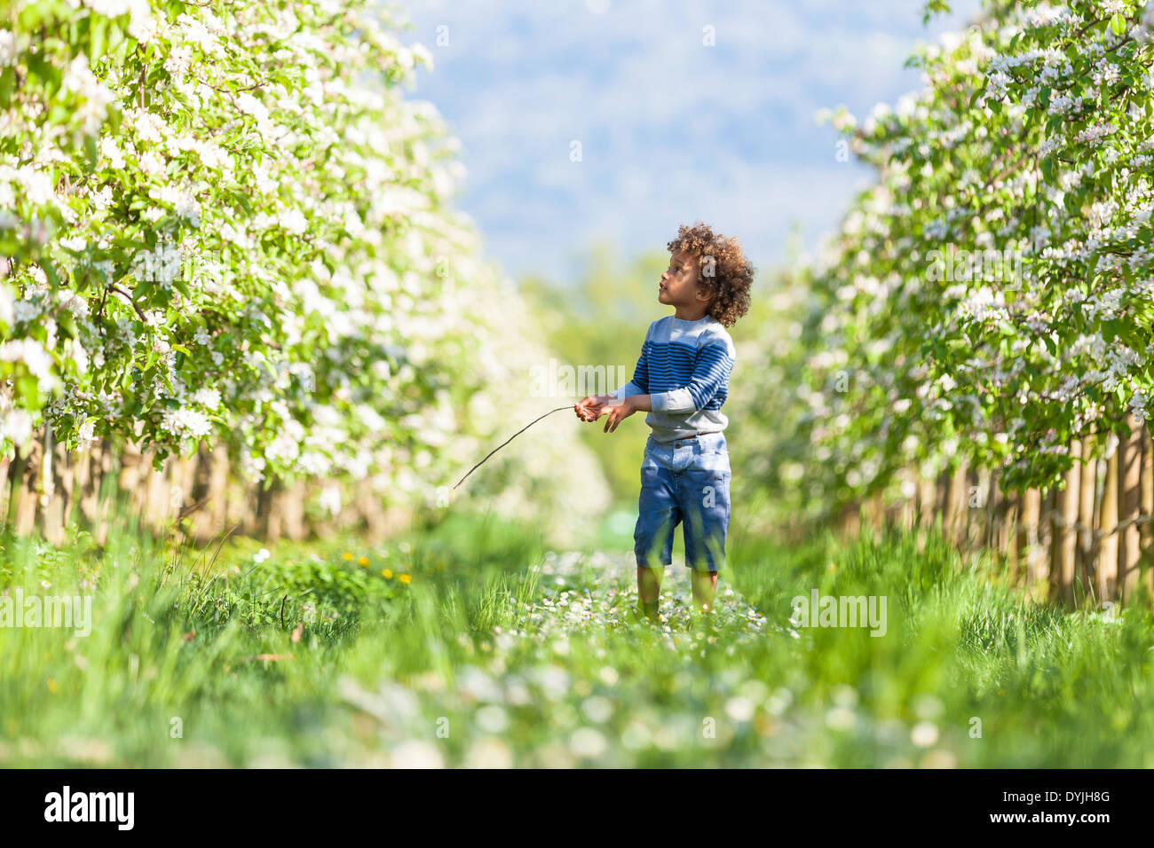 Cute african american little boy playing outdoor - Black people Stock ...