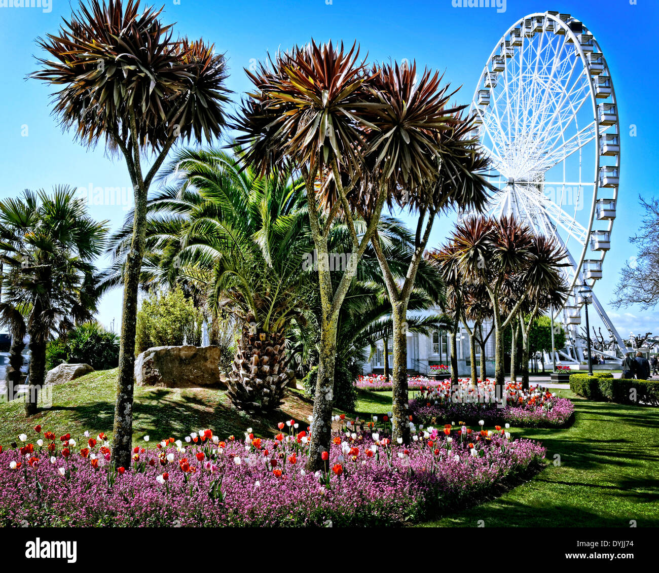 GB - DEVON: Torquay Promenade & English Riviera Wheel Stock Photo - Alamy