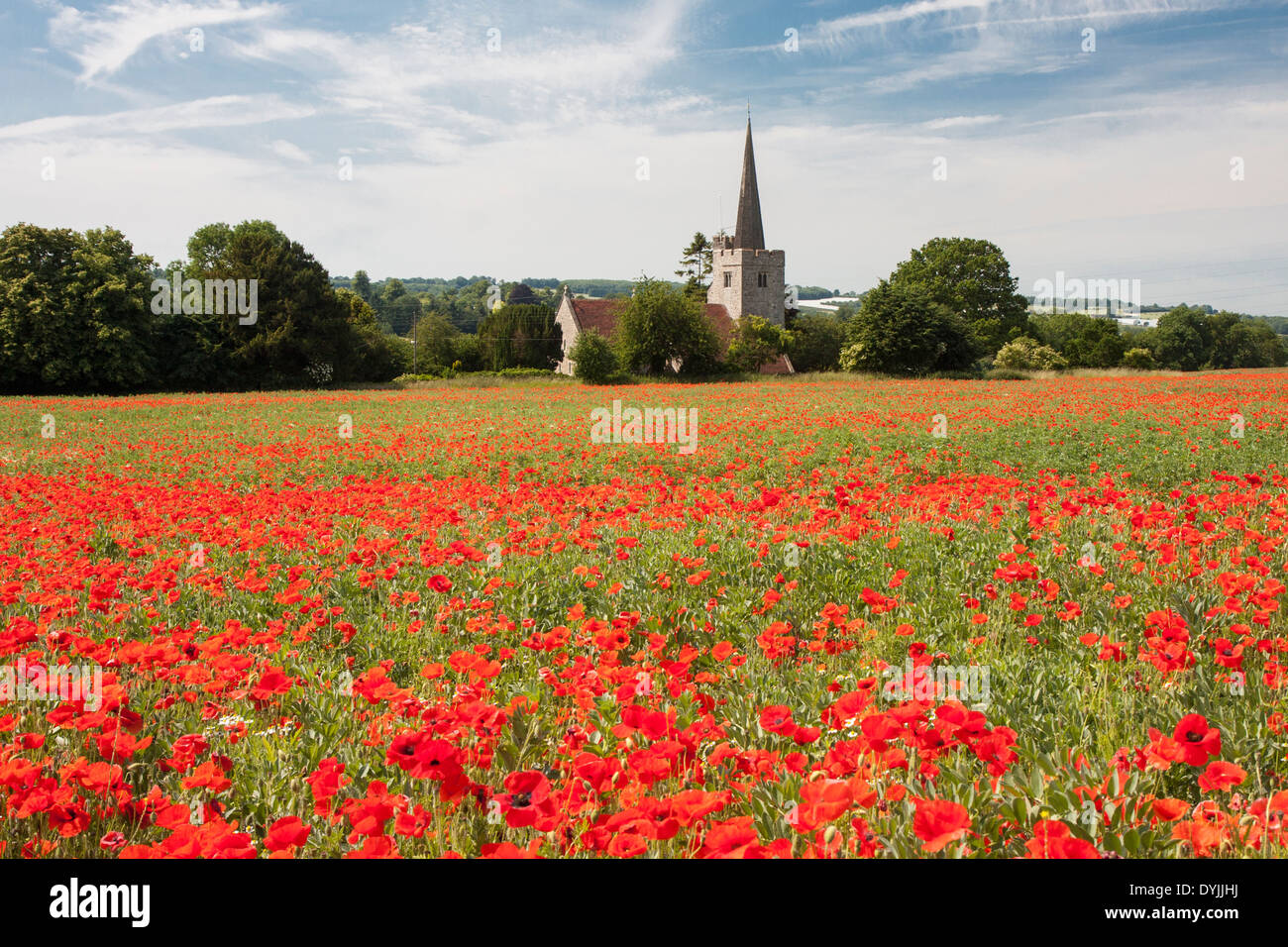Barming Parish Church and Poppies Stock Photo - Alamy