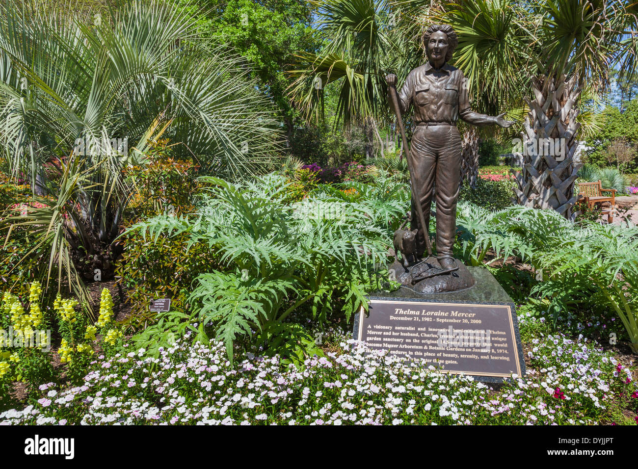 Statue honoring Thelma Mercer at Mercer Arboretum and Botanical Gardens ...