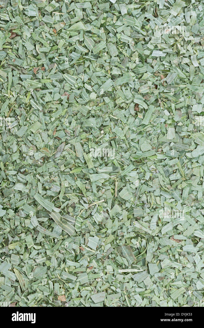 Dried Tarragon image for background or texture use Stock Photo - Alamy