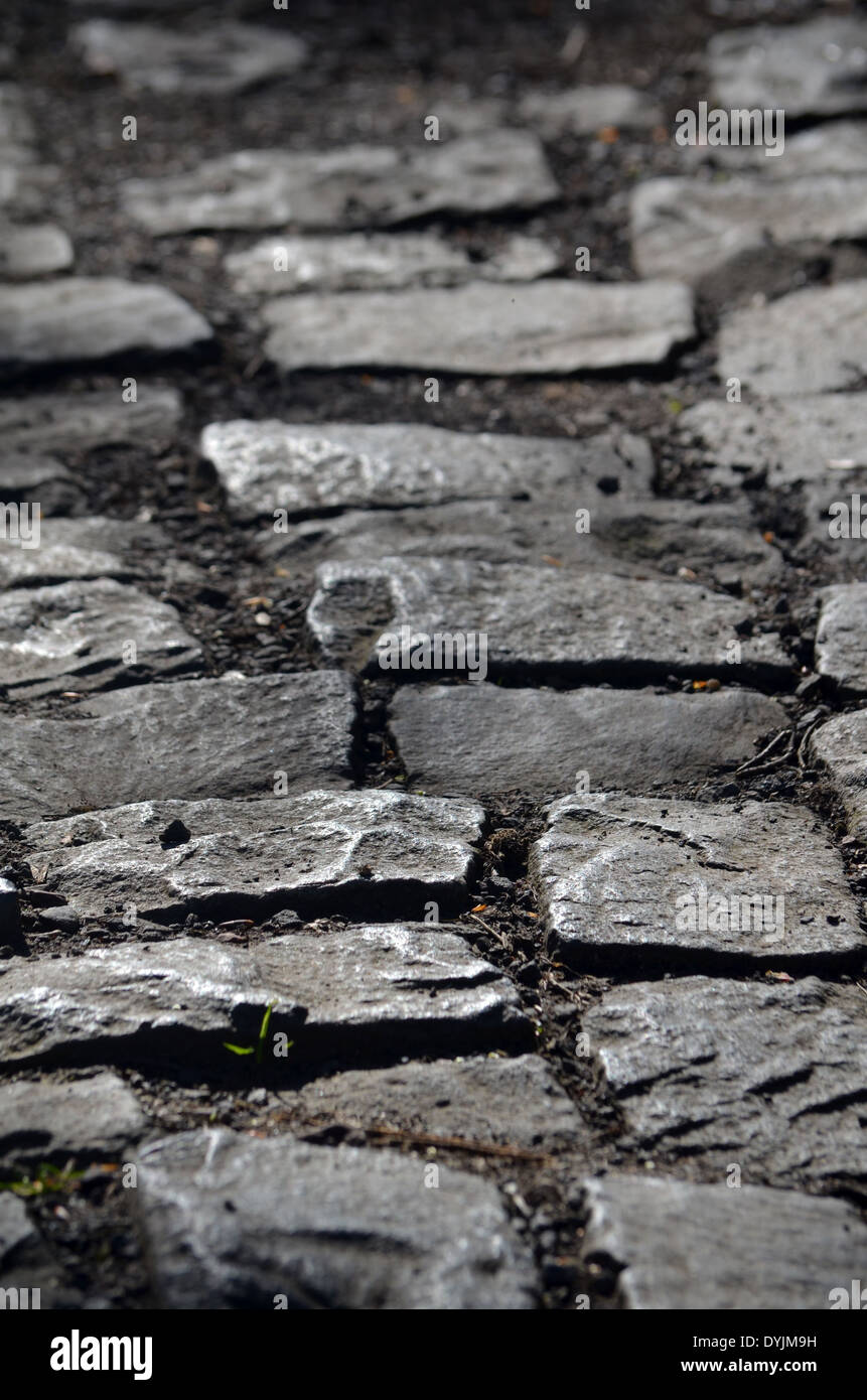 Worn cobbled path in the dalmuir Park Stock Photo - Alamy