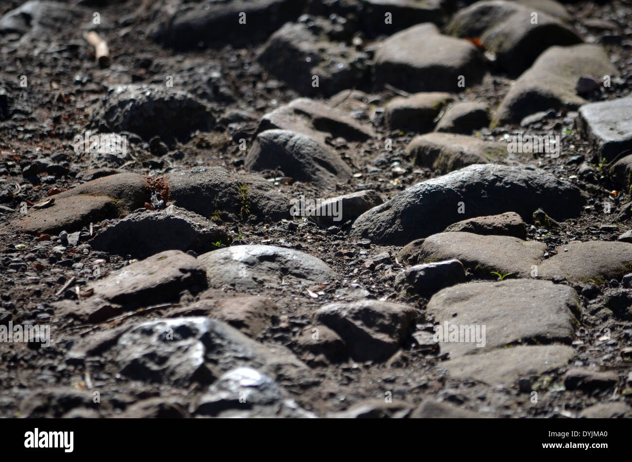 Rough stone path in the park Stock Photo - Alamy