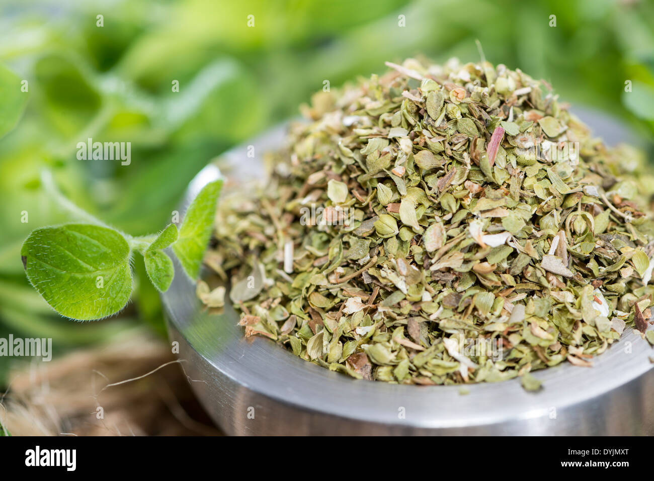 Portion of shredded Oregano (detailed close-up shot Stock Photo - Alamy