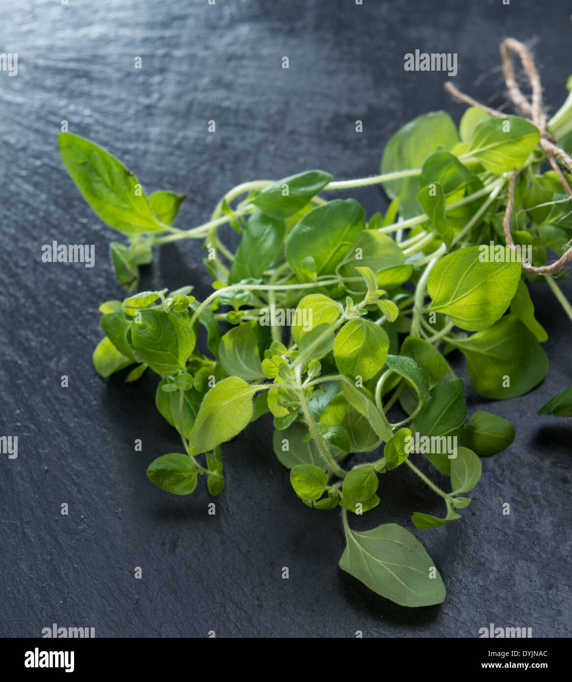 Fresh Oregano on dark background (close-up shot Stock Photo - Alamy