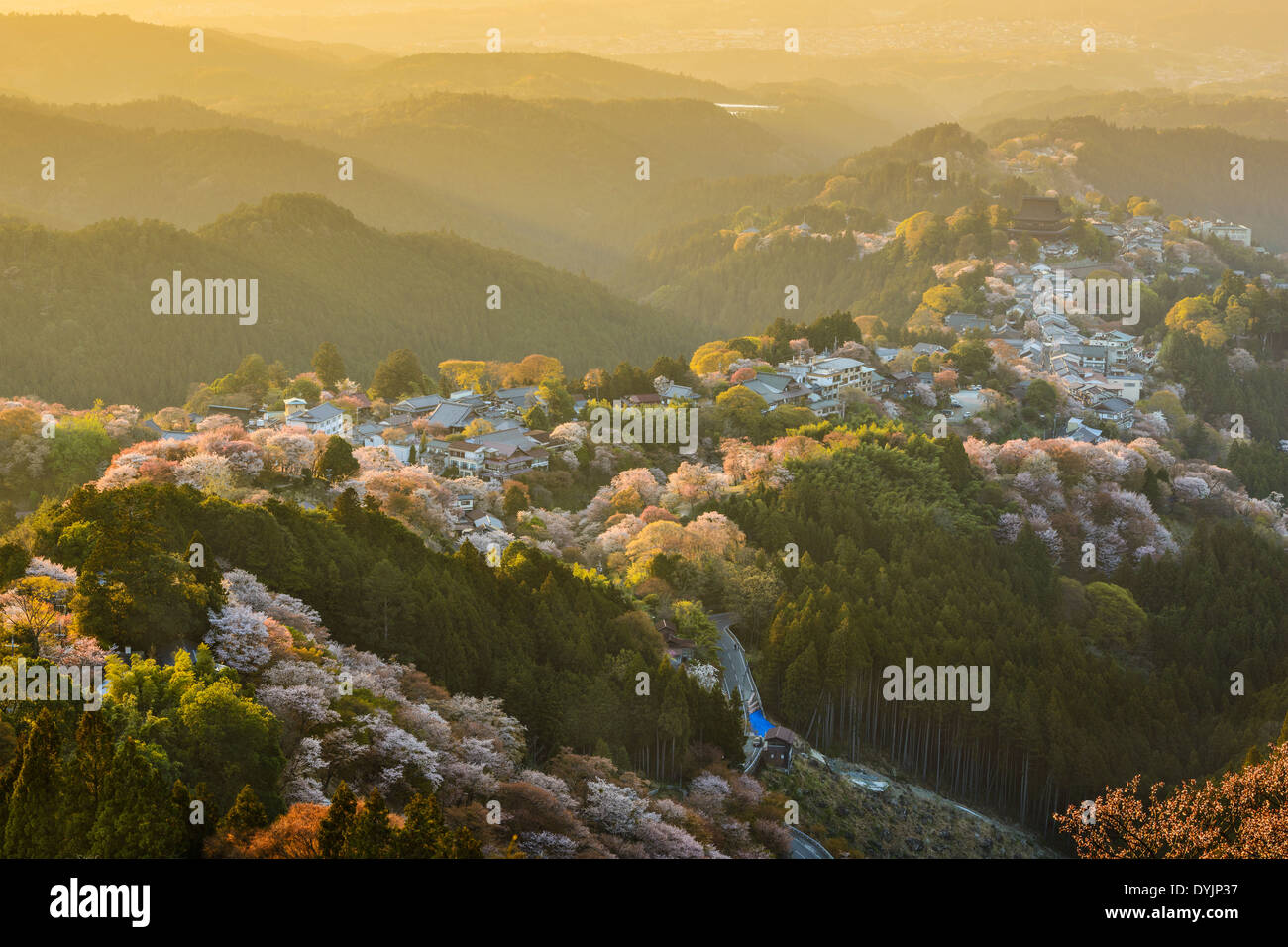Yoshinoyama hi-res stock photography and images - Alamy