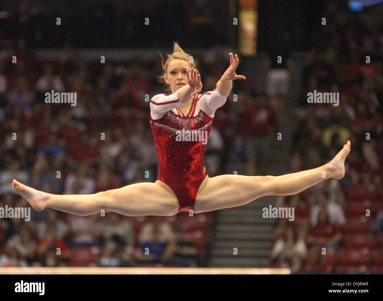 Haley scaman hi-res stock photography and images - Alamy