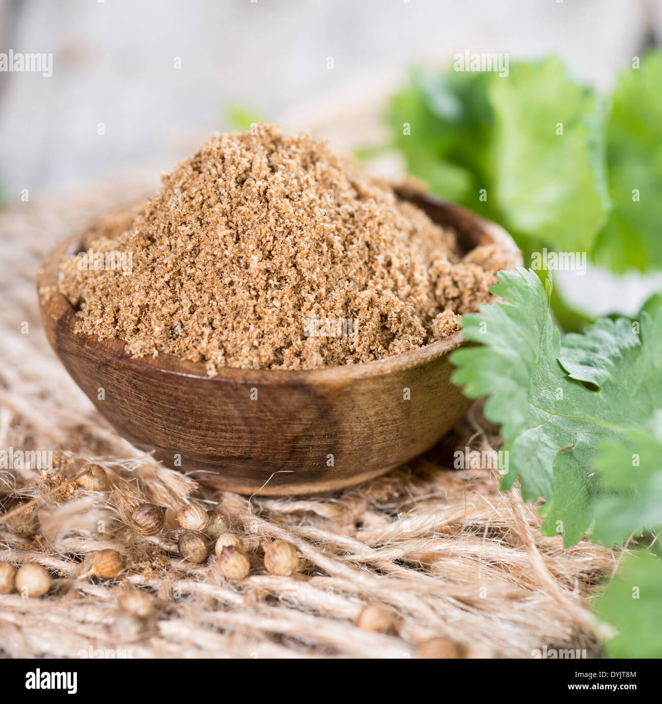 Coriander powder hi-res stock photography and images - Alamy