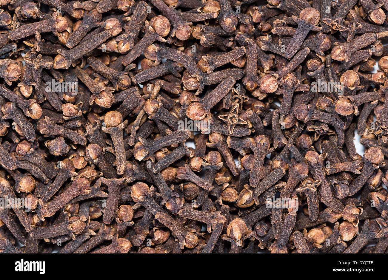 Cloves (detailed macro shot) for background or texture use Stock Photo ...