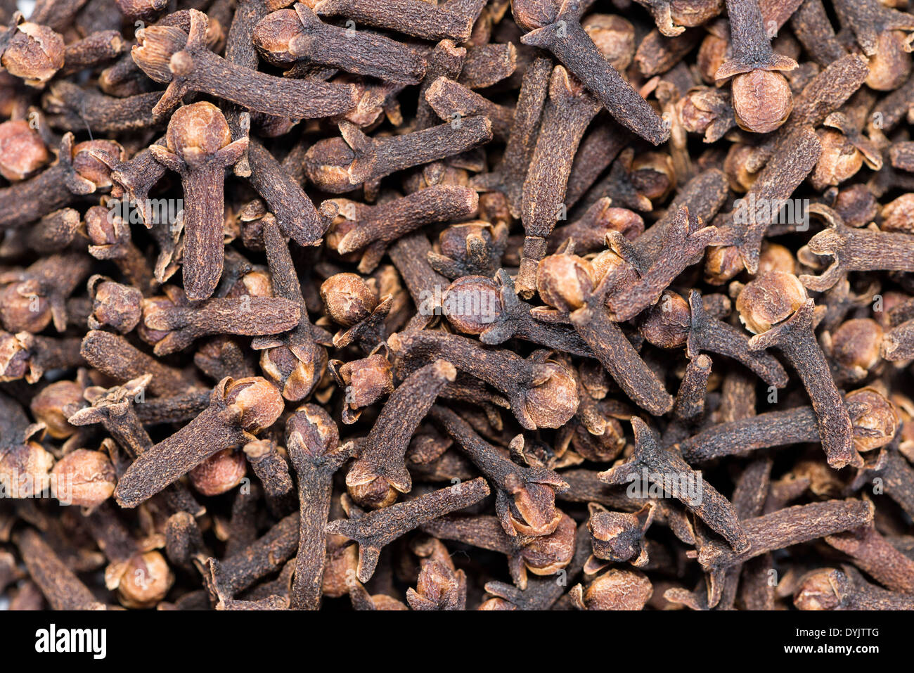 Cloves (detailed macro shot) for background or texture use Stock Photo ...