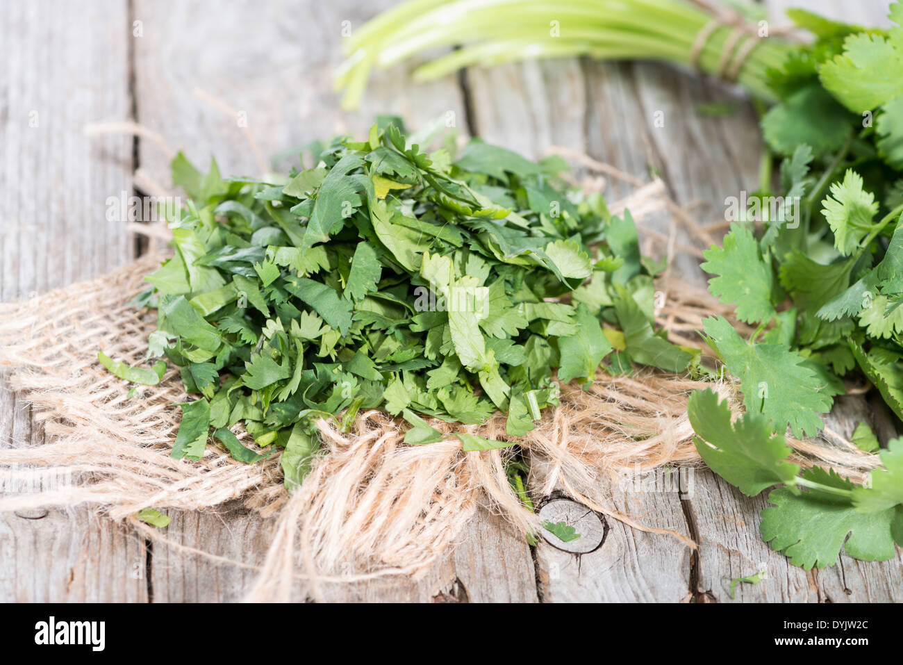 Fresh portion Cilantro as detailed close-up shot Stock Photo - Alamy