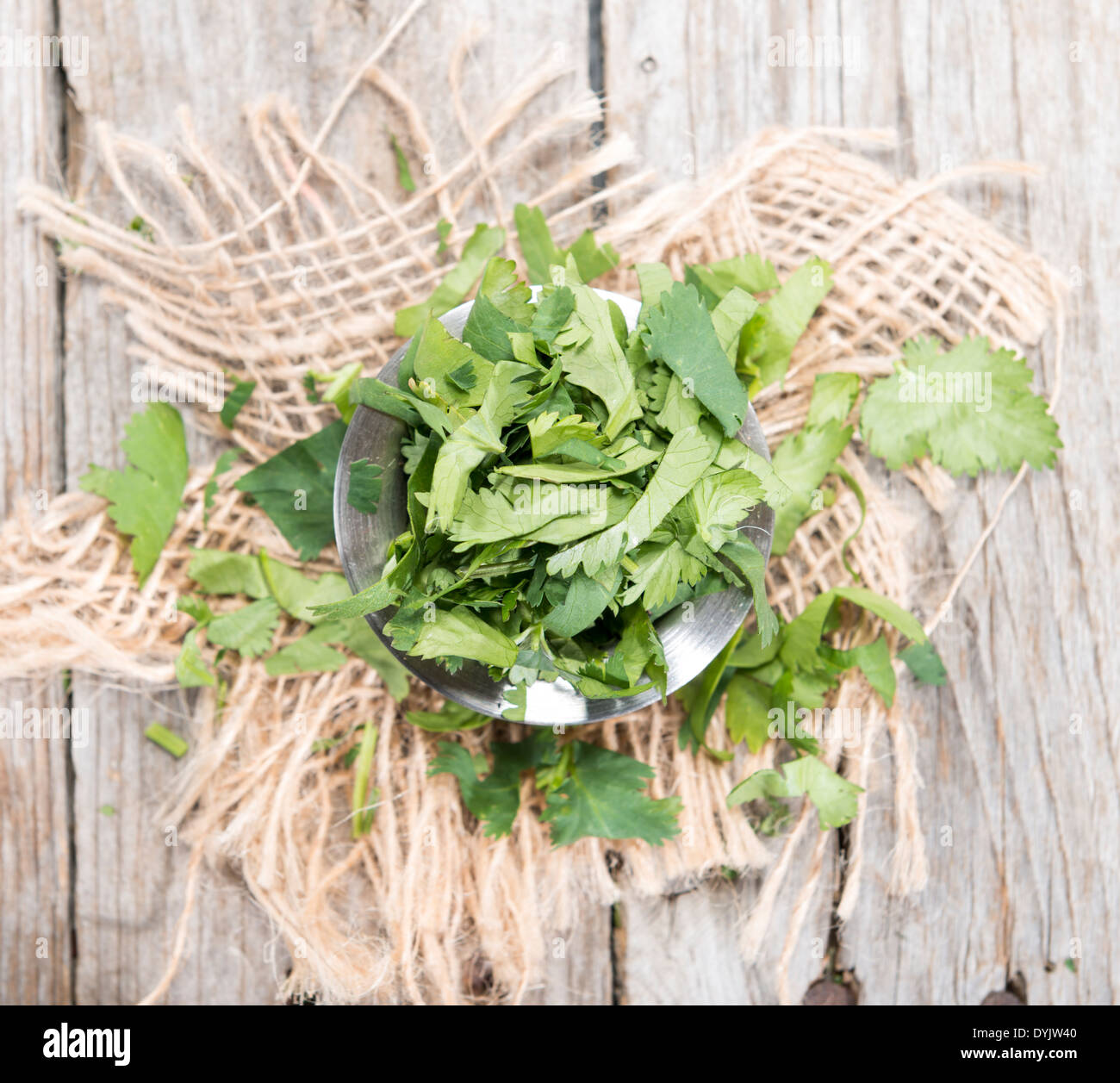 Fresh portion Cilantro as detailed close-up shot Stock Photo - Alamy