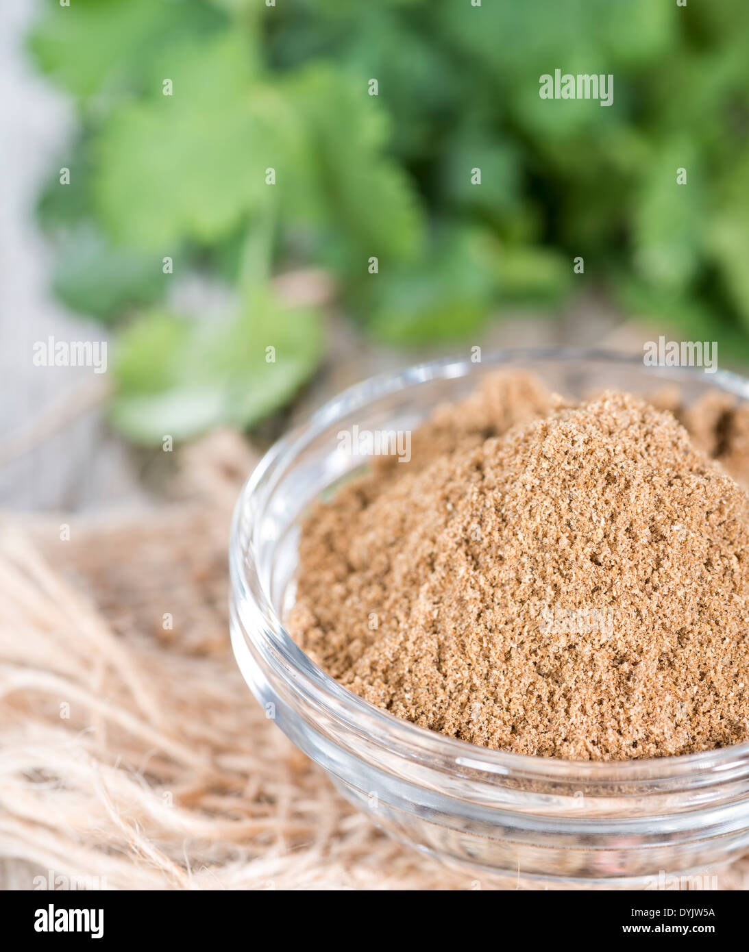 Small bowl with Cilantro Powder on weathered wood Stock Photo - Alamy