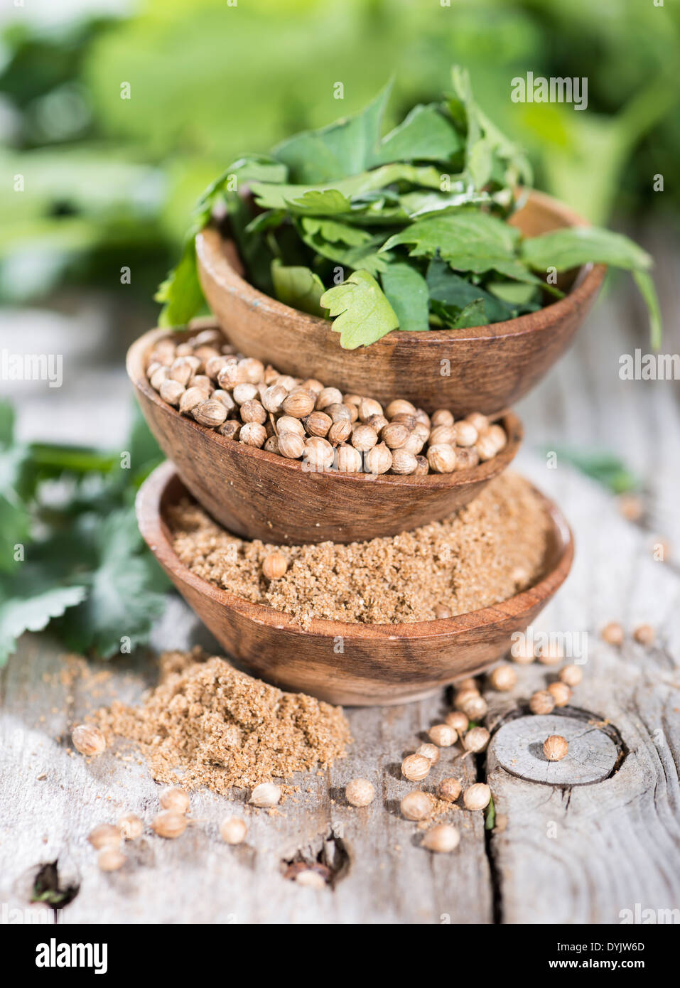 Coriander grains hi-res stock photography and images - Alamy