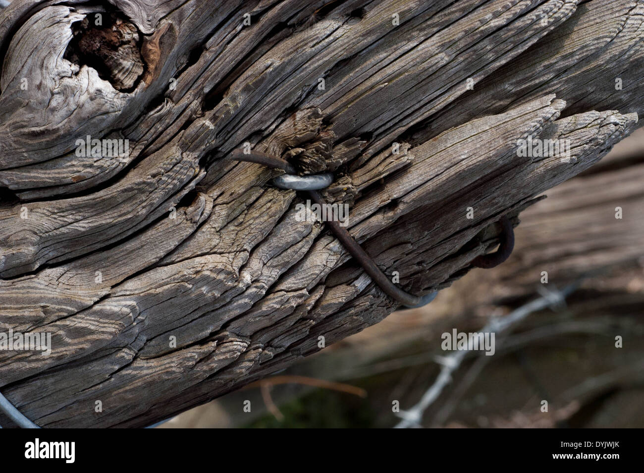 Barbed wire wood post hi-res stock photography and images - Alamy