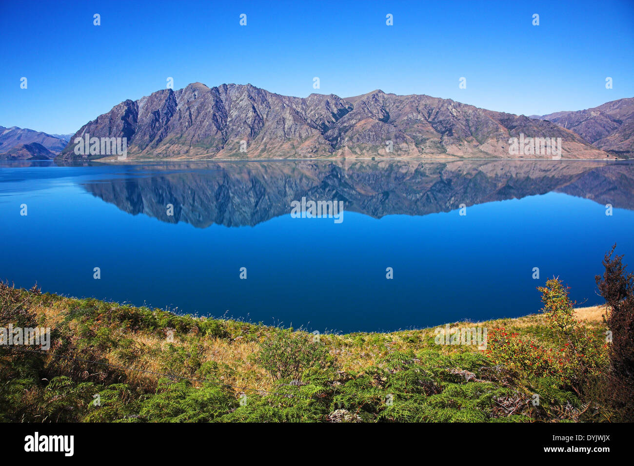 Lake Hawea, New Zealand Stock Photo - Alamy