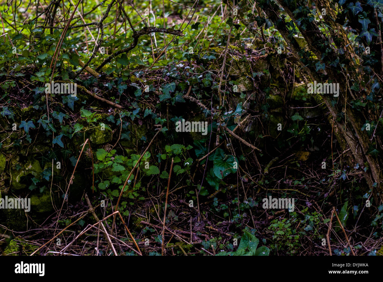 Decaying wall hi-res stock photography and images - Alamy