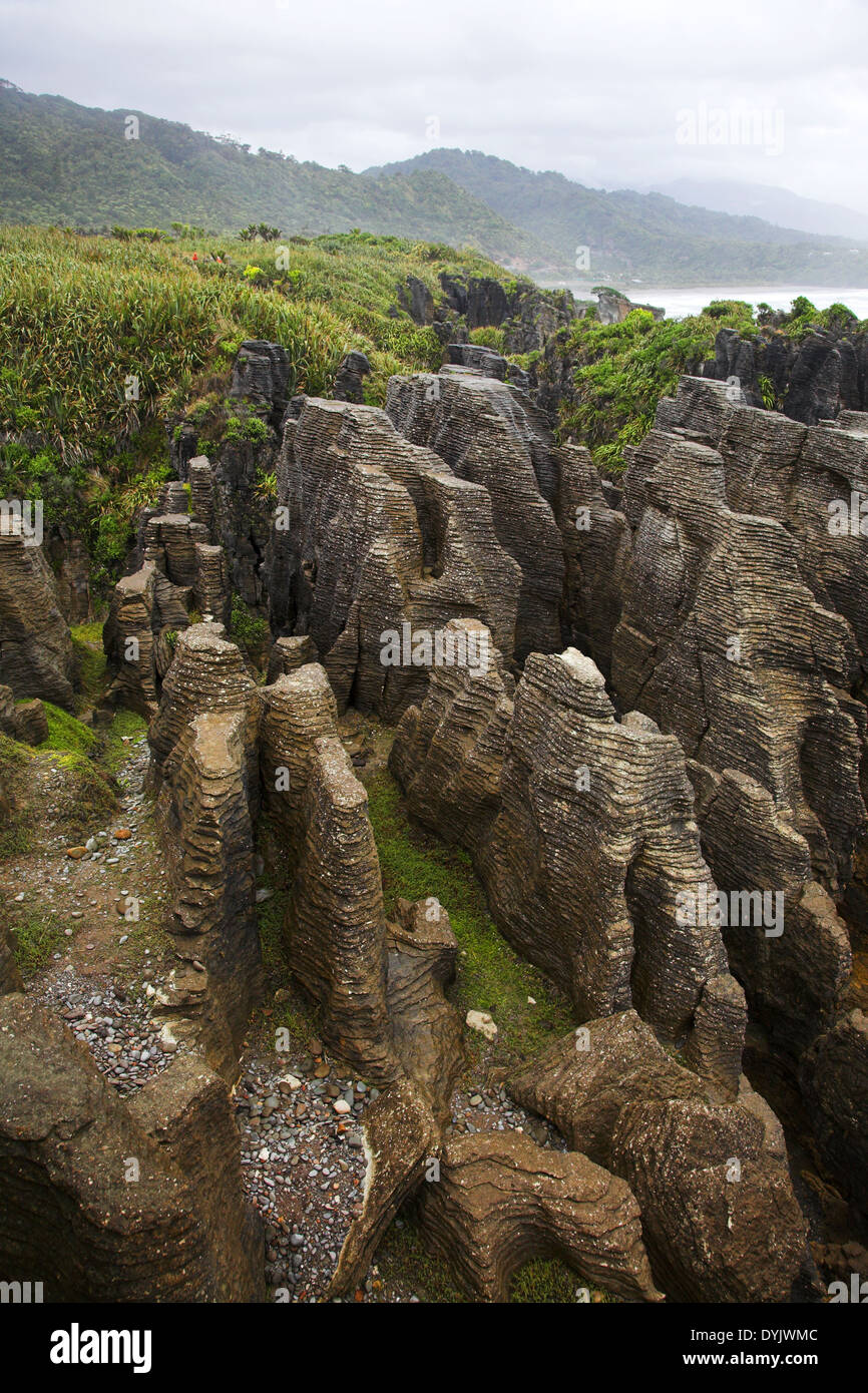 Pancake Rocks, New Zealand Stock Photo - Alamy