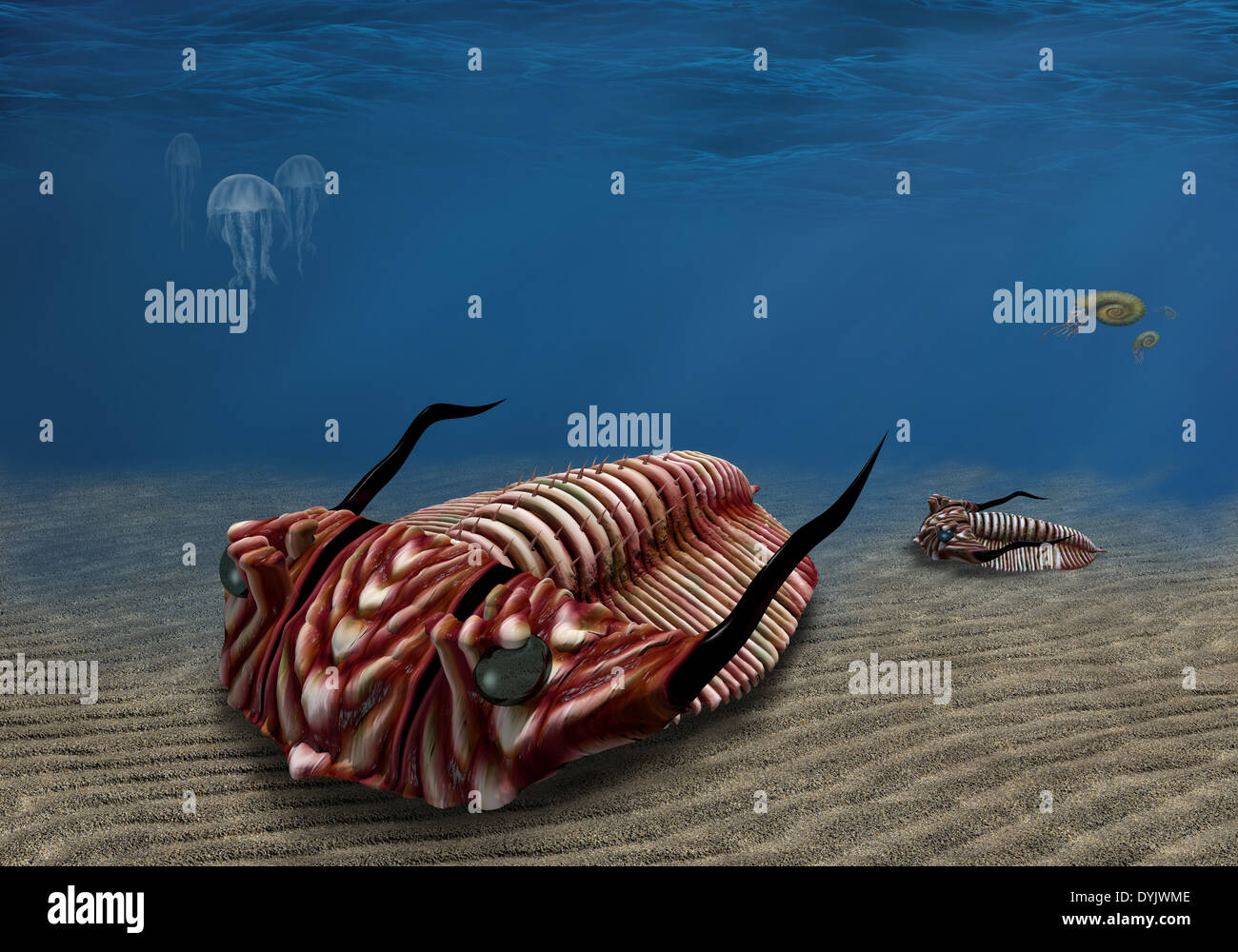 Prehistoric trilobite scavenging on the ocean floor Stock Photo - Alamy