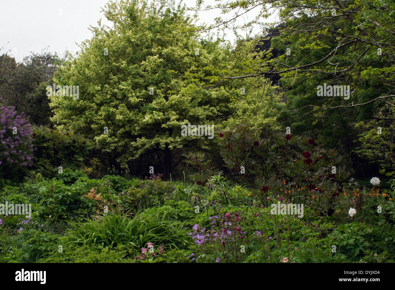 Highdown gardens spring hi-res stock photography and images - Alamy